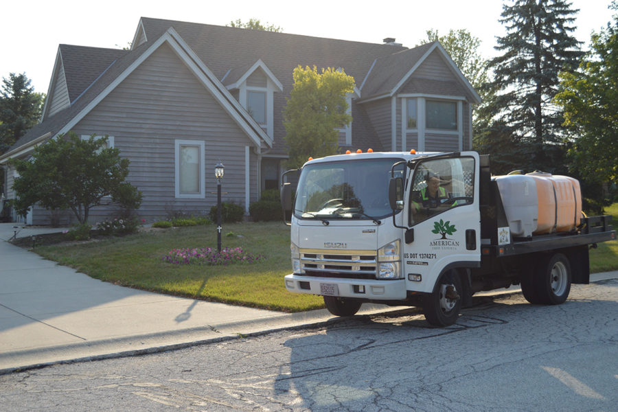 Home - American Tree Experts