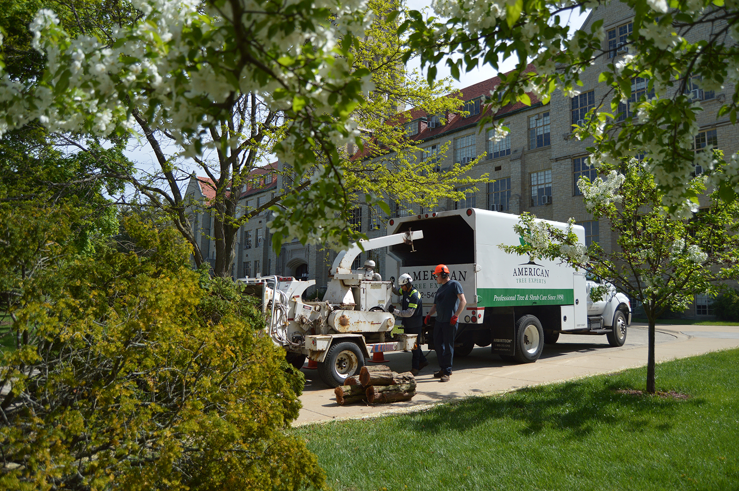 Home - American Tree Experts